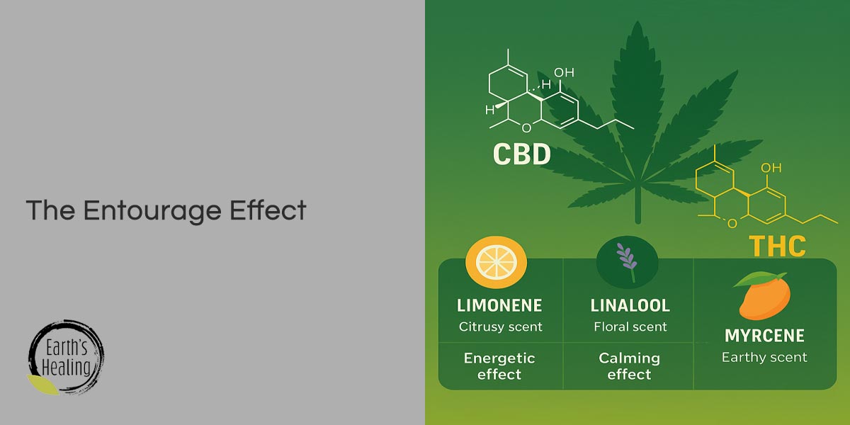 Understanding the Entourage Effect in Cannabis | Earth's Healing
